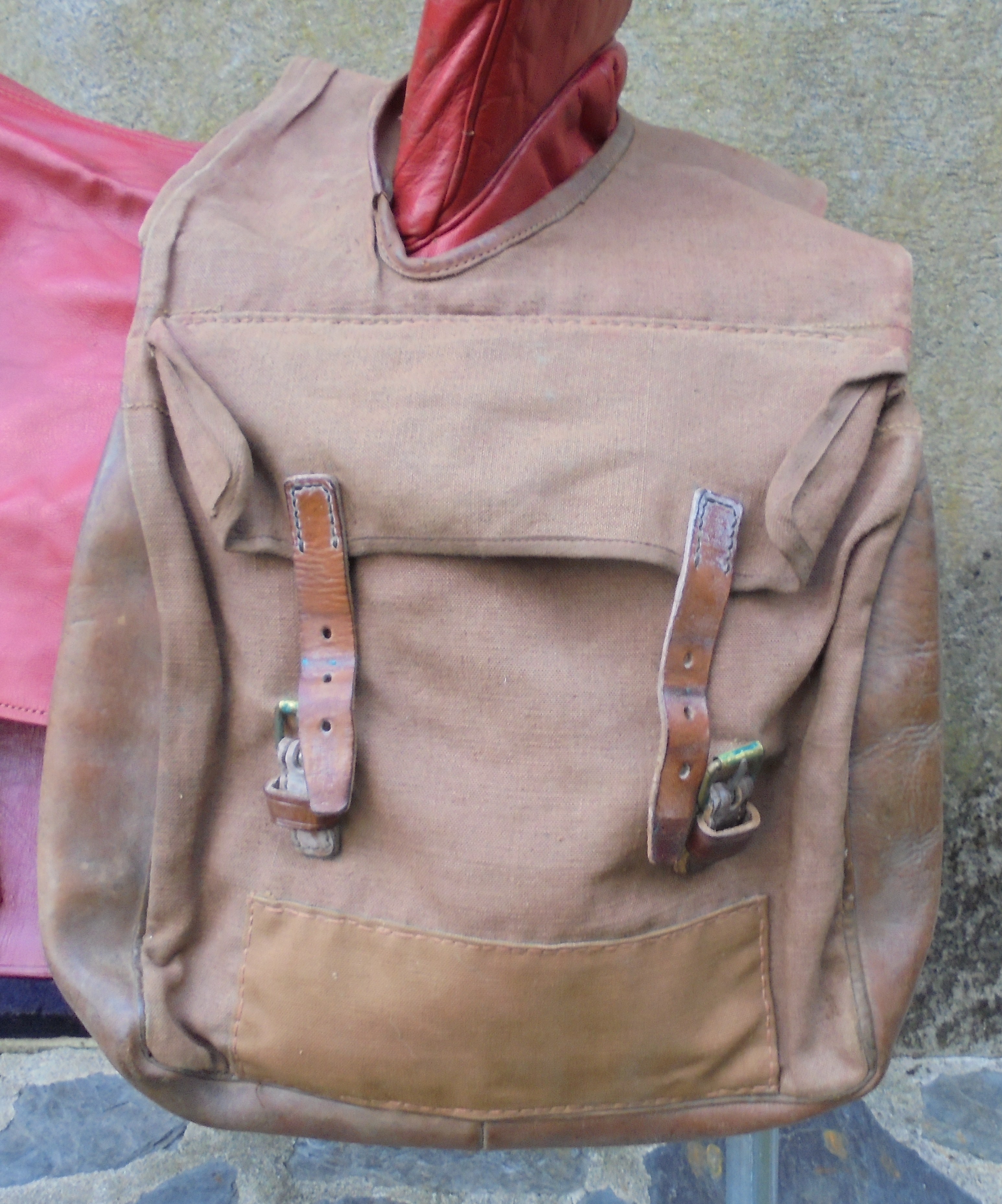 Collection et curiosités | La cavale - Lanerit - Service sellerie